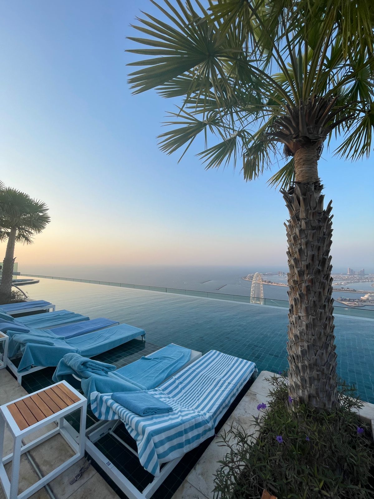 ZETA Seventy Seven: Brunch in the Sky - Dubai Delights
